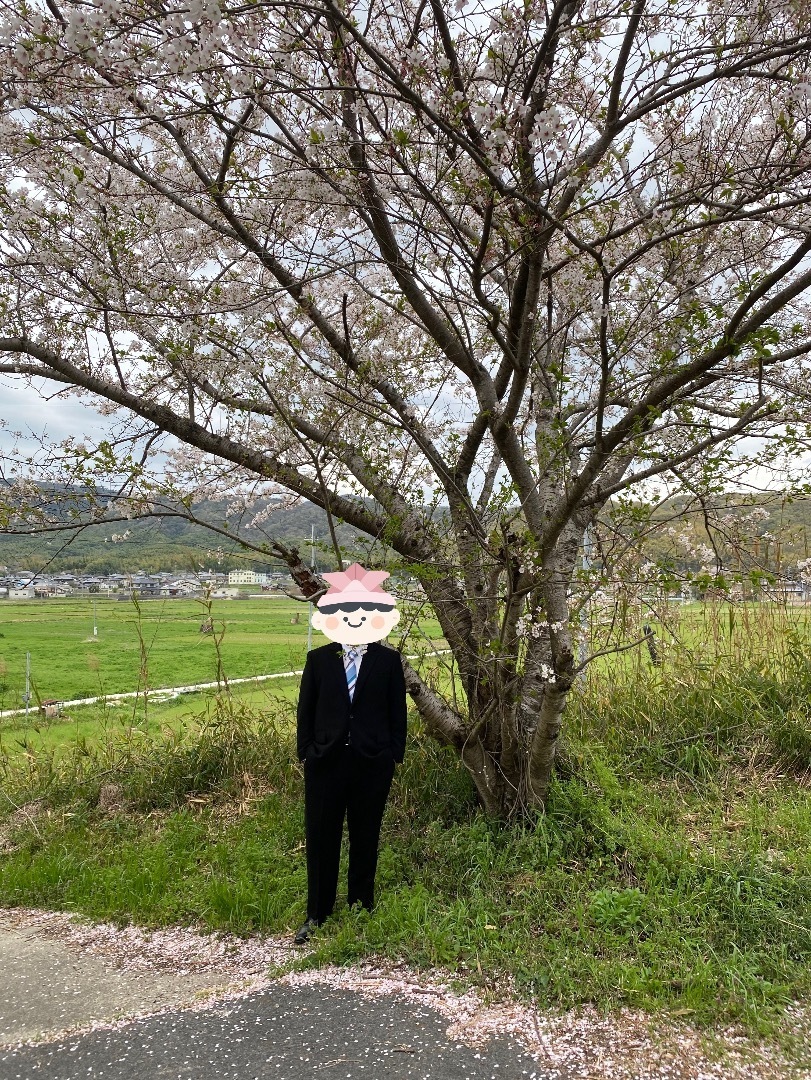 ☆春～2024～☆: デイケアあおいとり 京都府木津川市